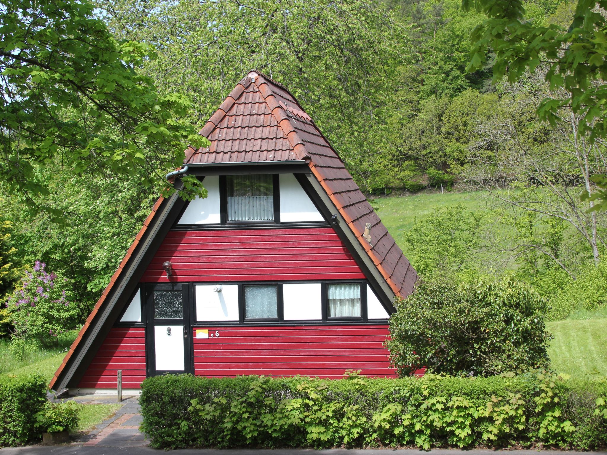 Mohnblume - Allemagne