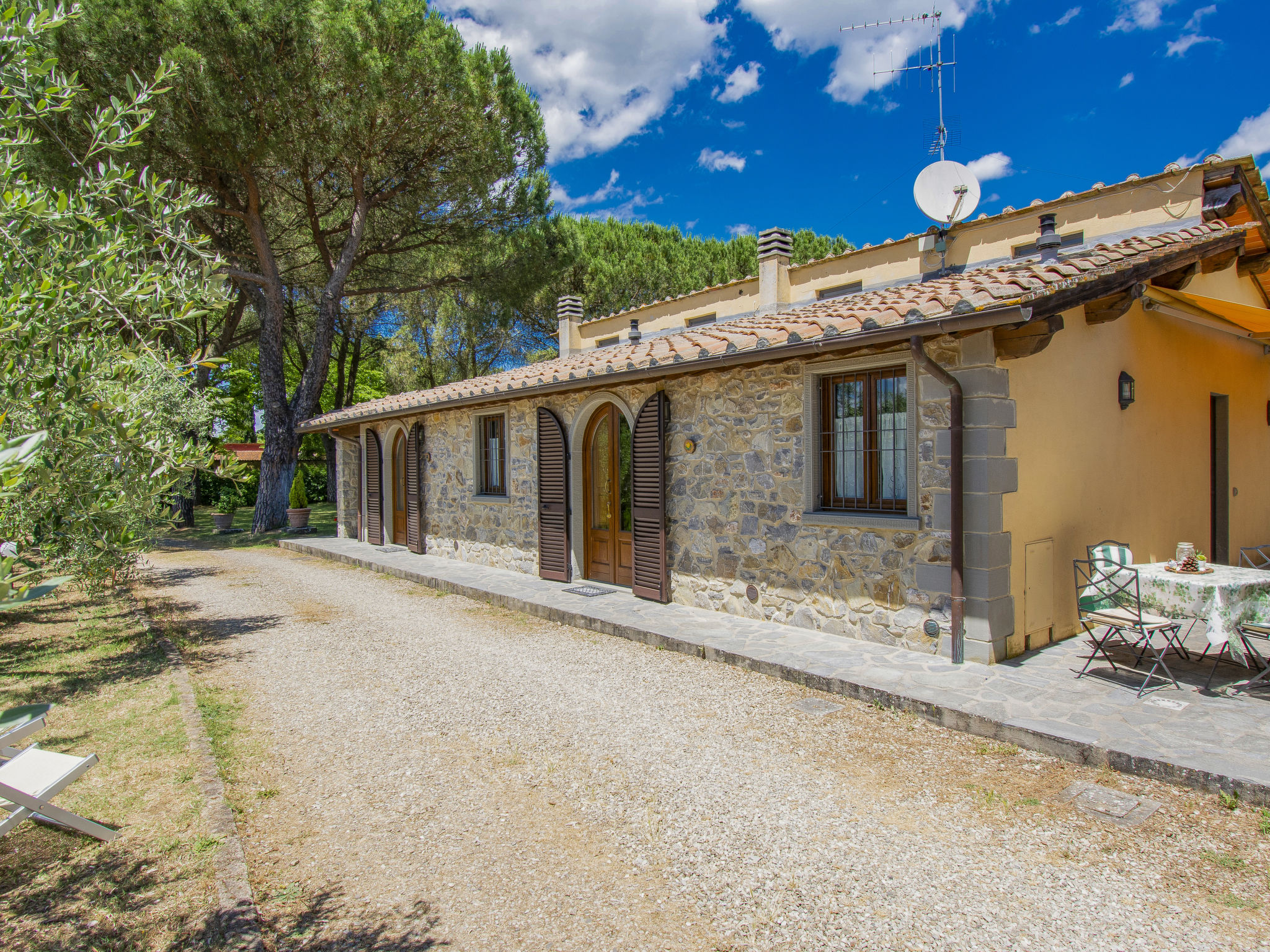 Cedri Alti - Italien