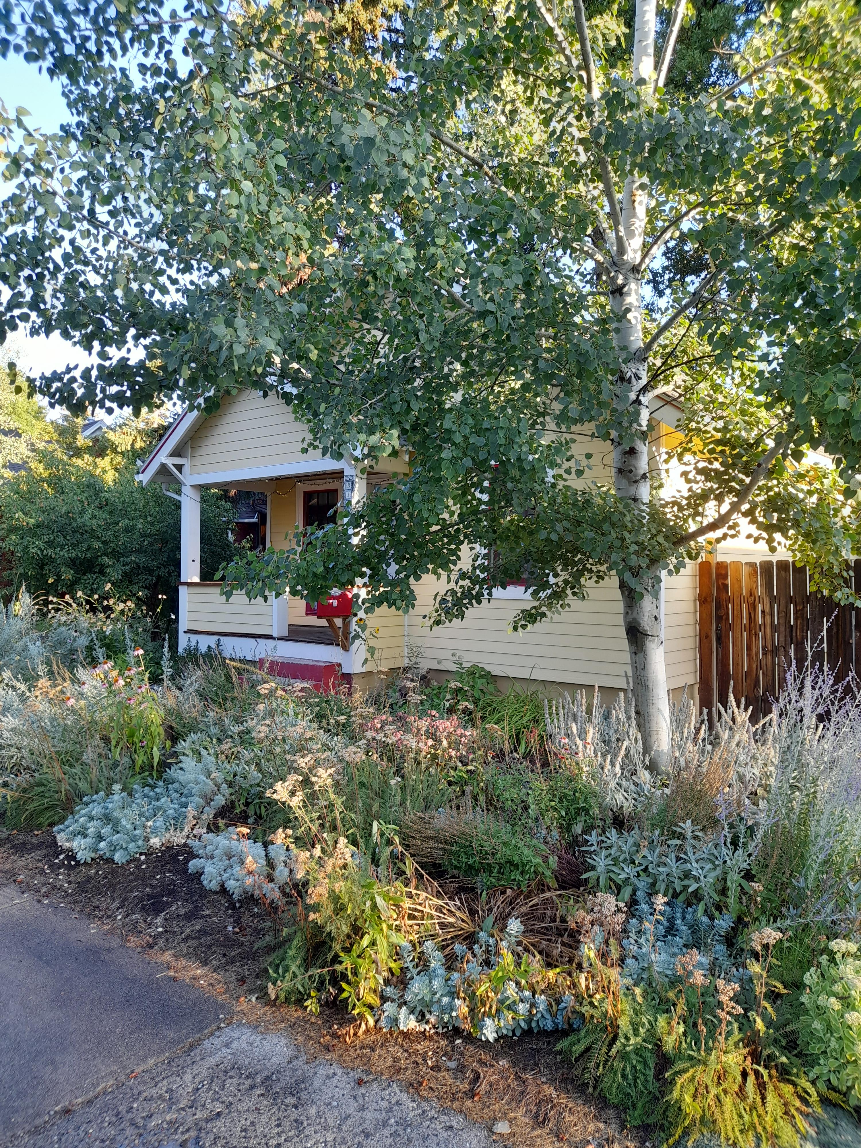 Fast Wifi And Keyless Self Check-in - Charming Alpine Cottage - Bozeman, MT