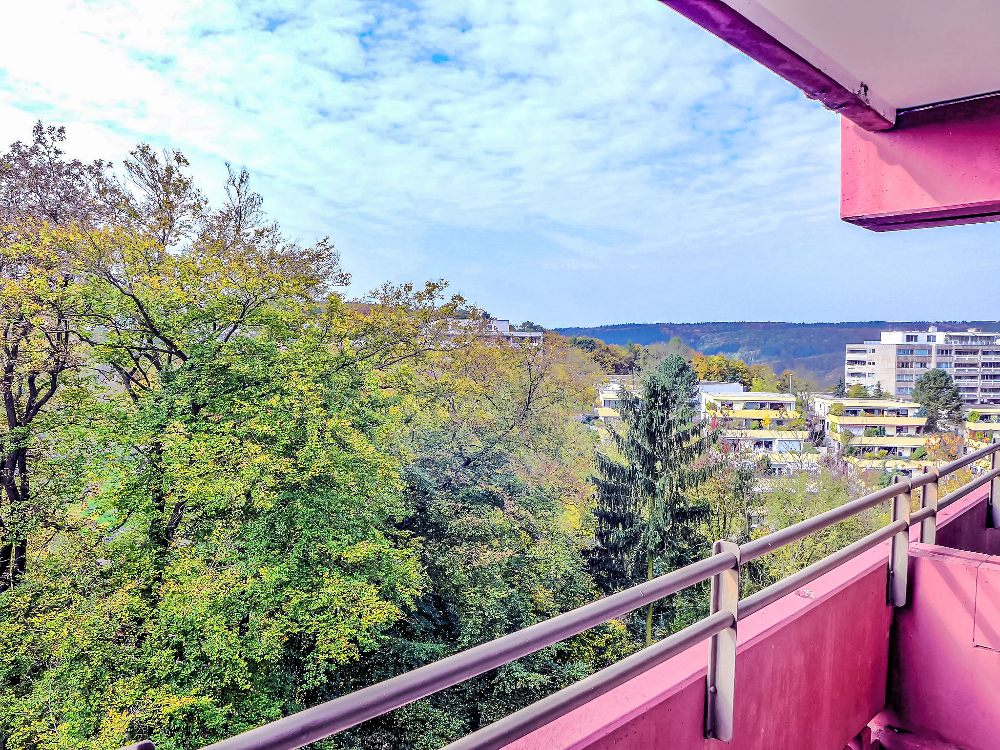 Baumblick (B610) - Coblence